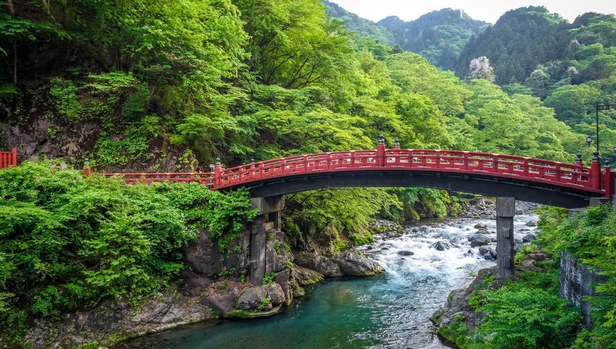 A Day Trip To Nikko From Tokyo | 10 Things Not To Miss - The Travel Blogs