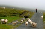 The Shetland Islands | How To Get There | Guide And Tips - The Travel Blogs