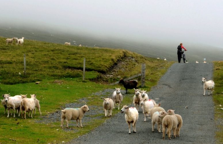 The Shetland Islands | How To Get There | Guide And Tips - The Travel Blogs
