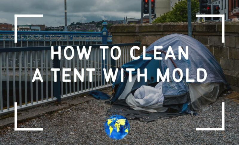 How To Clean A Tent With Mold | Step By Step Guide - The Travel Blogs